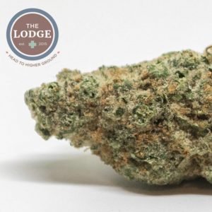 Jungle cake Strain Review - The Lodge Cannabis Denver